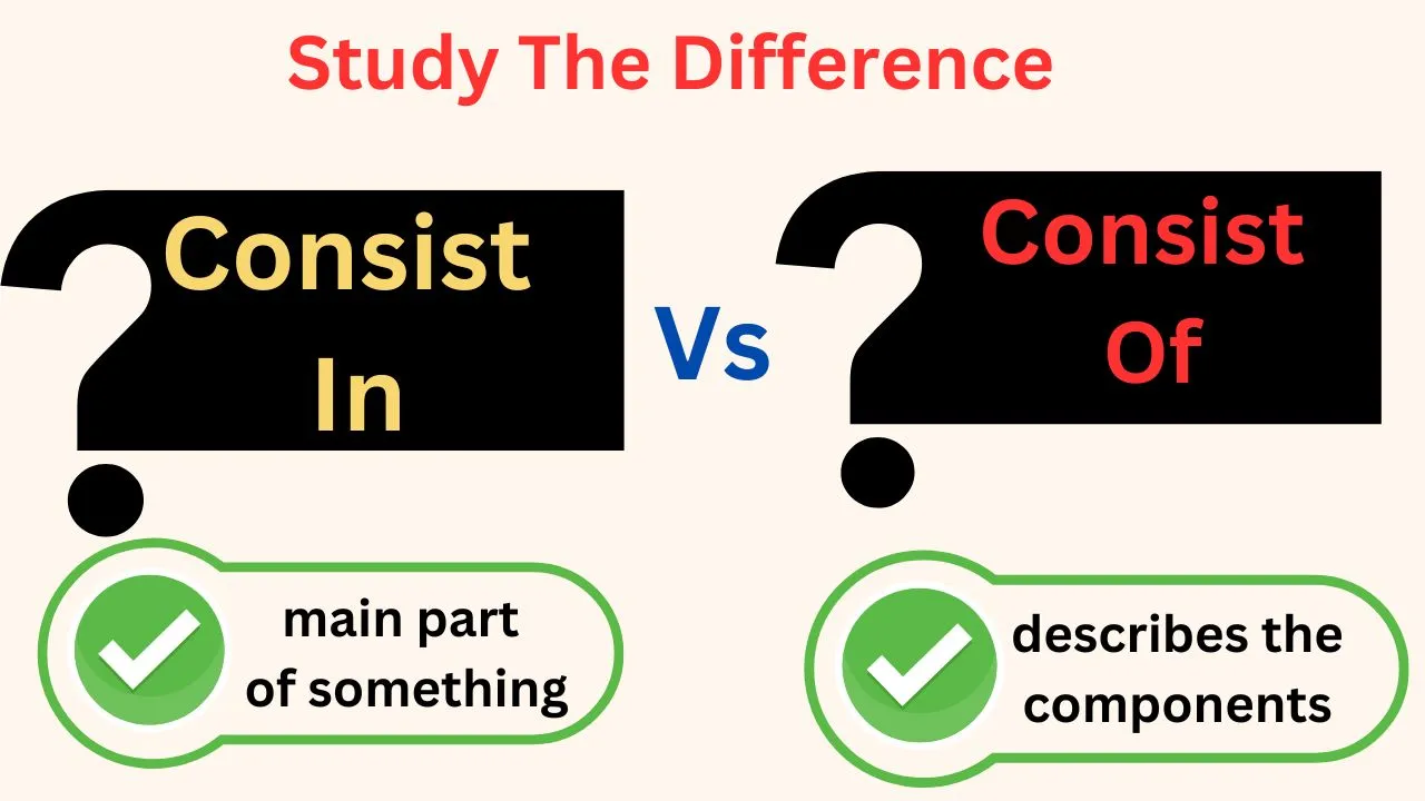 Consist In vs Consist Of: Select The Right One👍